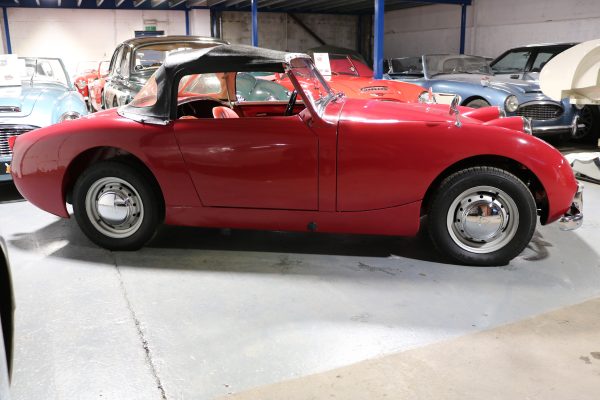 Austin Healey Frog Eye Sprite MKI - Bill Rawles Classic Cars